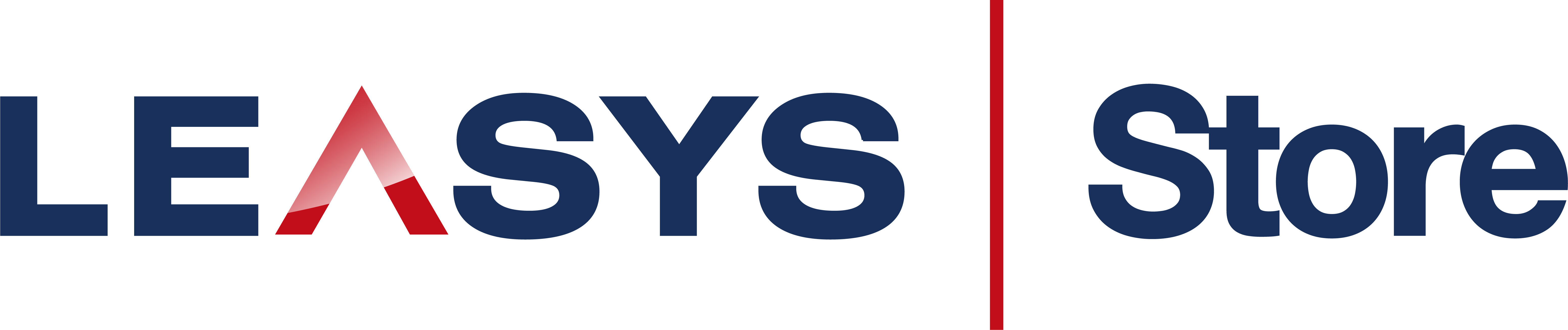 Leasys Network | LEASYS